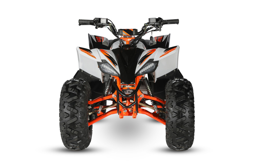 Predator 125 | Kayo USA