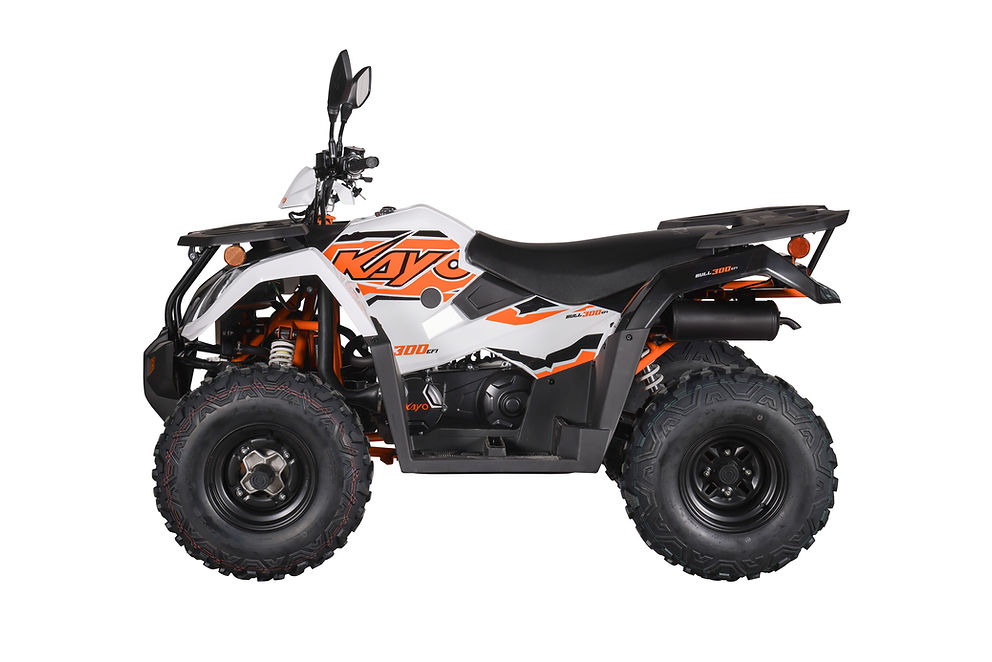 Bull 300 EFI | Kayo USA
