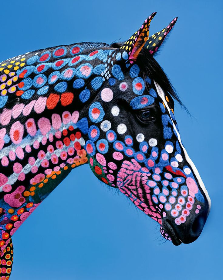 The Boundless Artistry of Sila Şehrazat Yücel