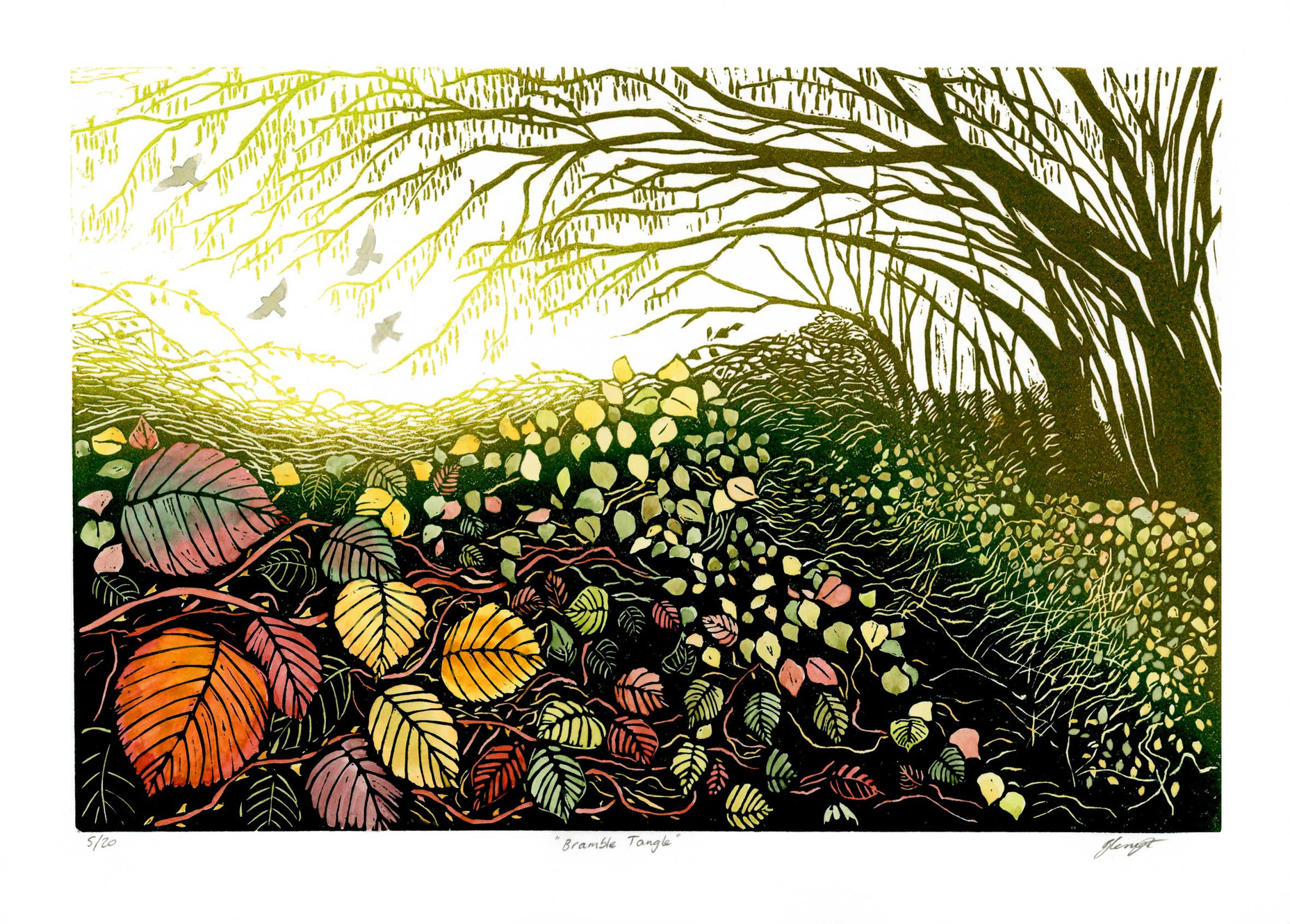 Beth Knight welsh artist | lino cut printmaker | Pembrokeshire, UK