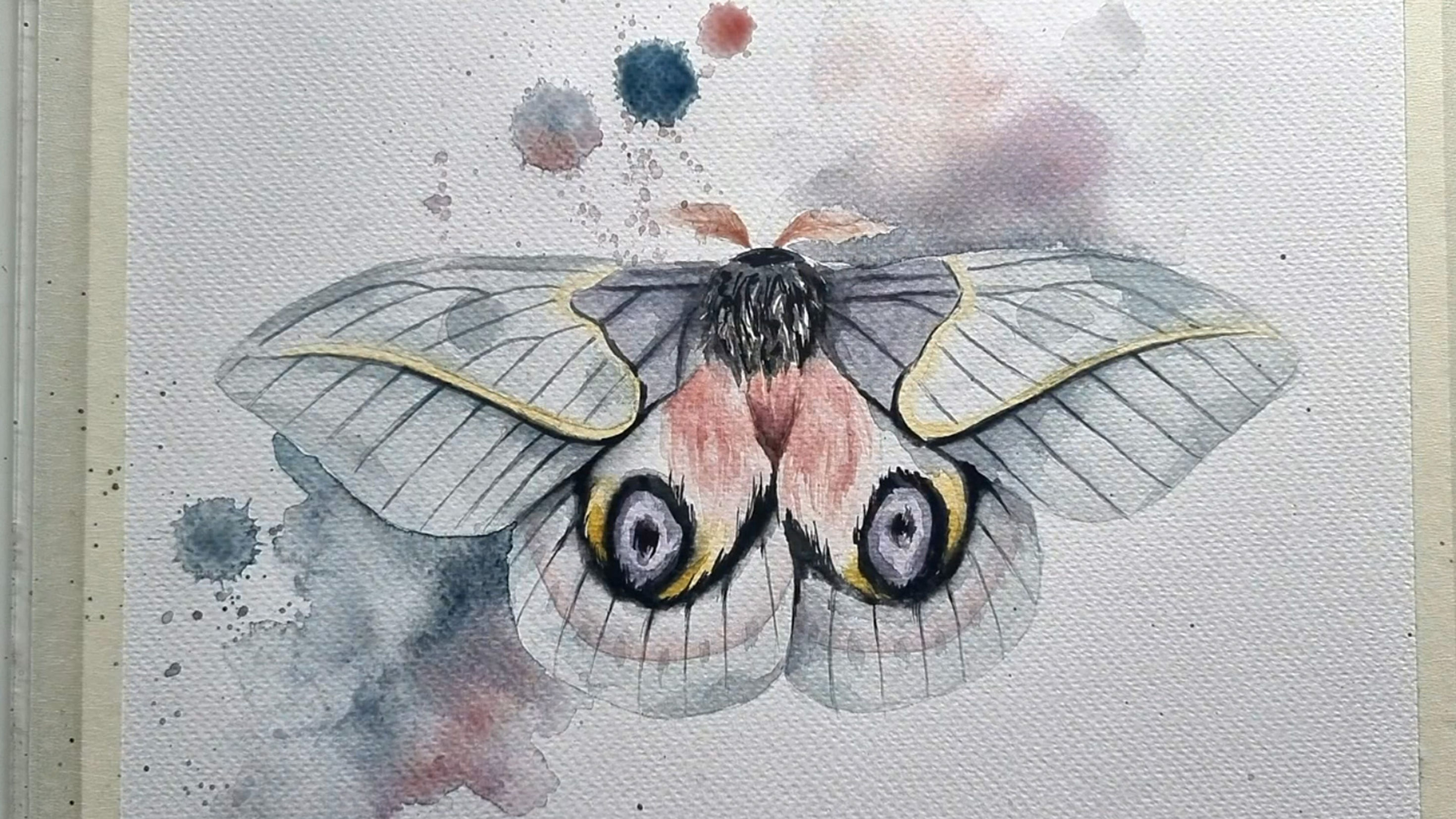 Silk Moth Online Workshop | Alexis Cantu Artwork
