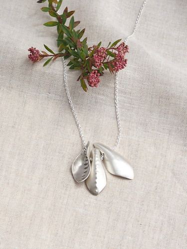 Seed pods on chain | sarah-bourke working