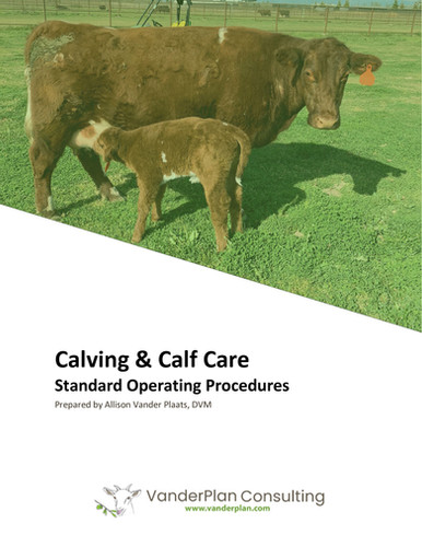 Calving & Calf Care Collection | VanderPlan