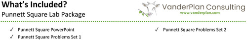 Punnett Square Lab Package | VanderPlan