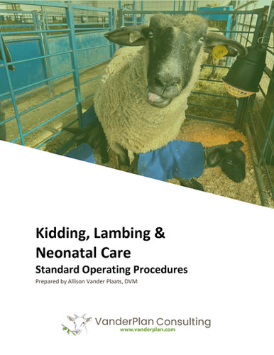 Kidding, Lambing & Neonatal Care Collection | VanderPlan