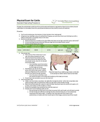 Cattle Physical Exam SOP | VanderPlan