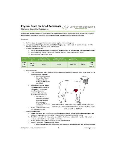 Small Ruminant Physical Exam SOP | VanderPlan