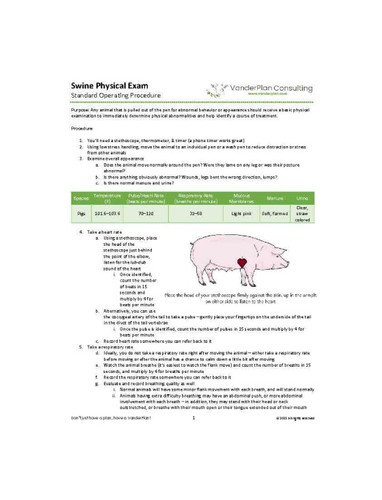 Swine Physical Exam SOP | VanderPlan