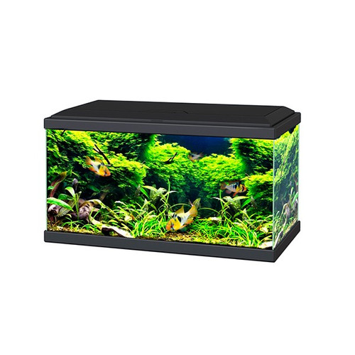 Ciano Aqua 60 LED - Black 52L | skewen