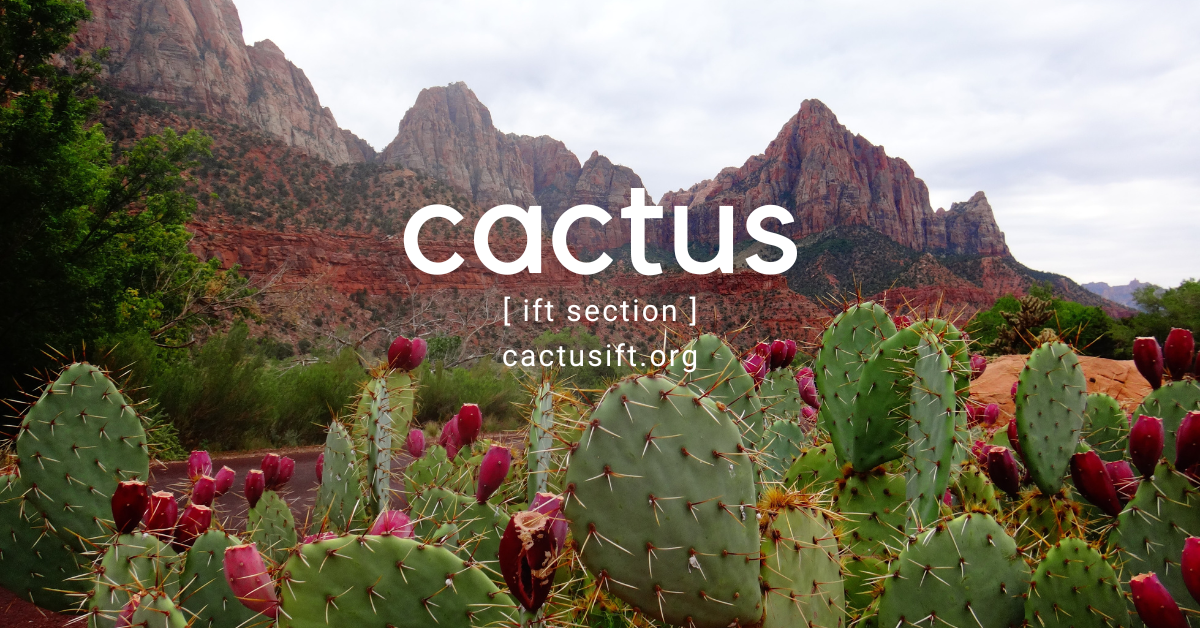 HOME | Cactus IFT | Phoenix, Arizona