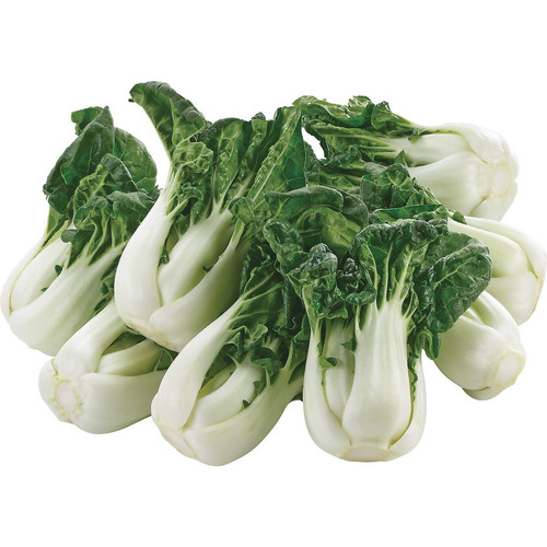 Baby Bok Choy | A Plus Vegetable