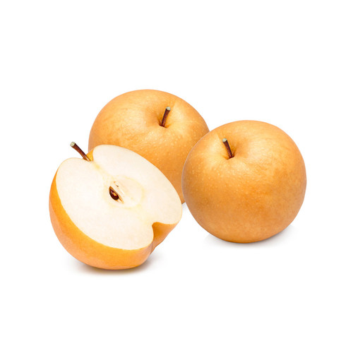 Korean Shingo Pear | A Plus Vegetable