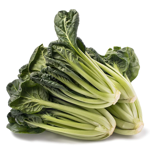 Taku Choy | A Plus Vegetable