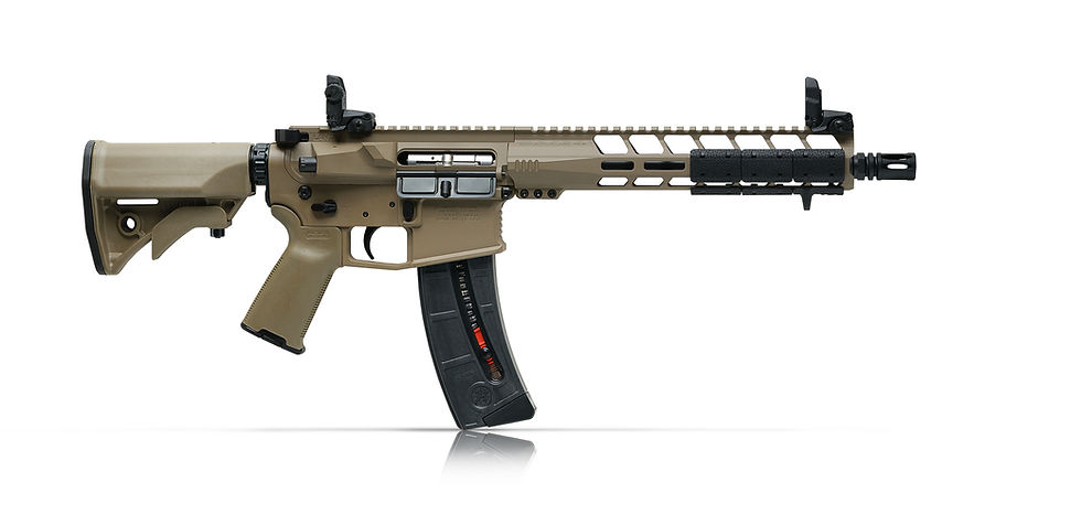 LANTAC UK LA-N15 STEALTH RAVEN .22LR Semi Auto AR15 Rifle