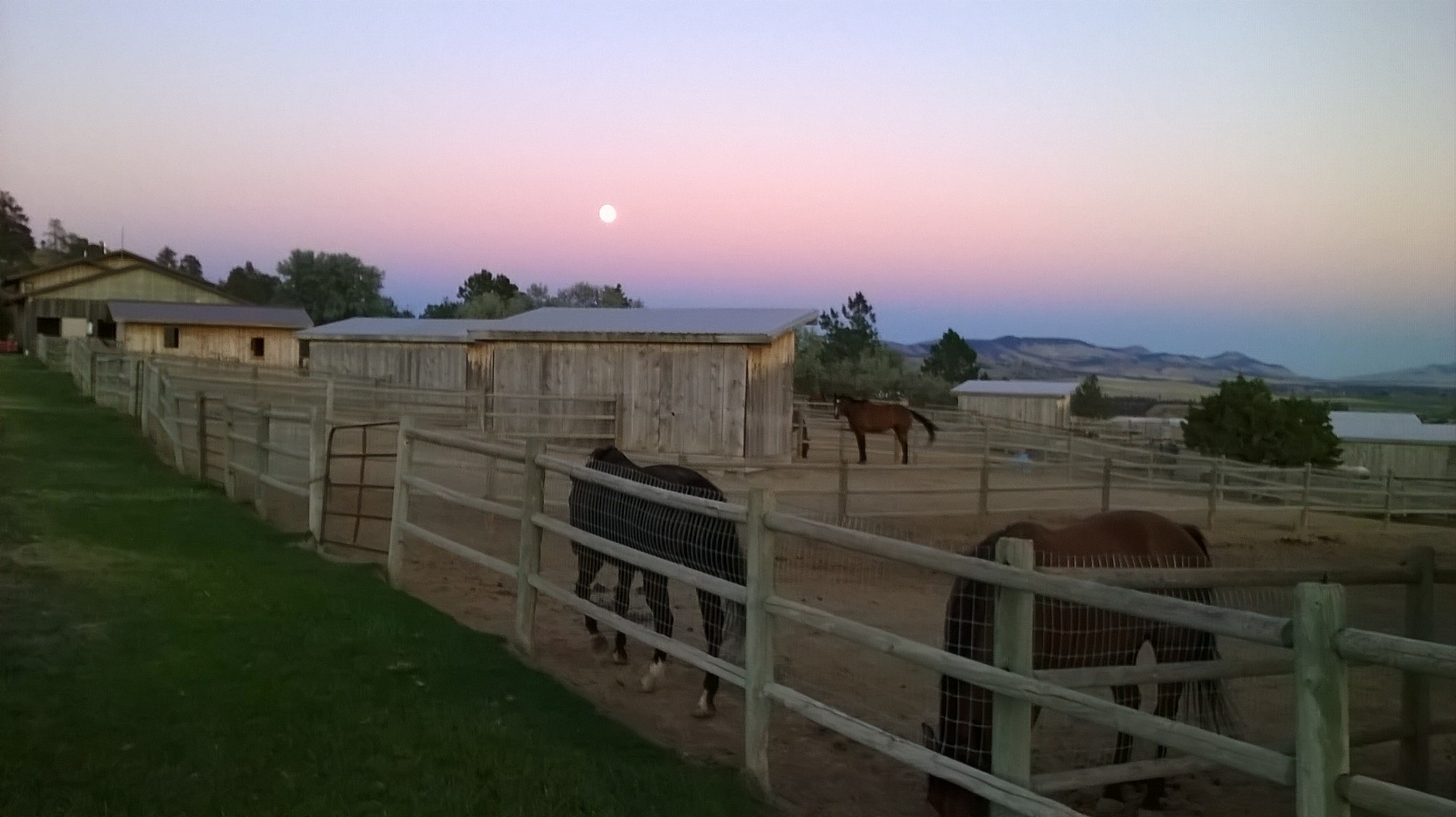 Facilities | juniper-hill-stable