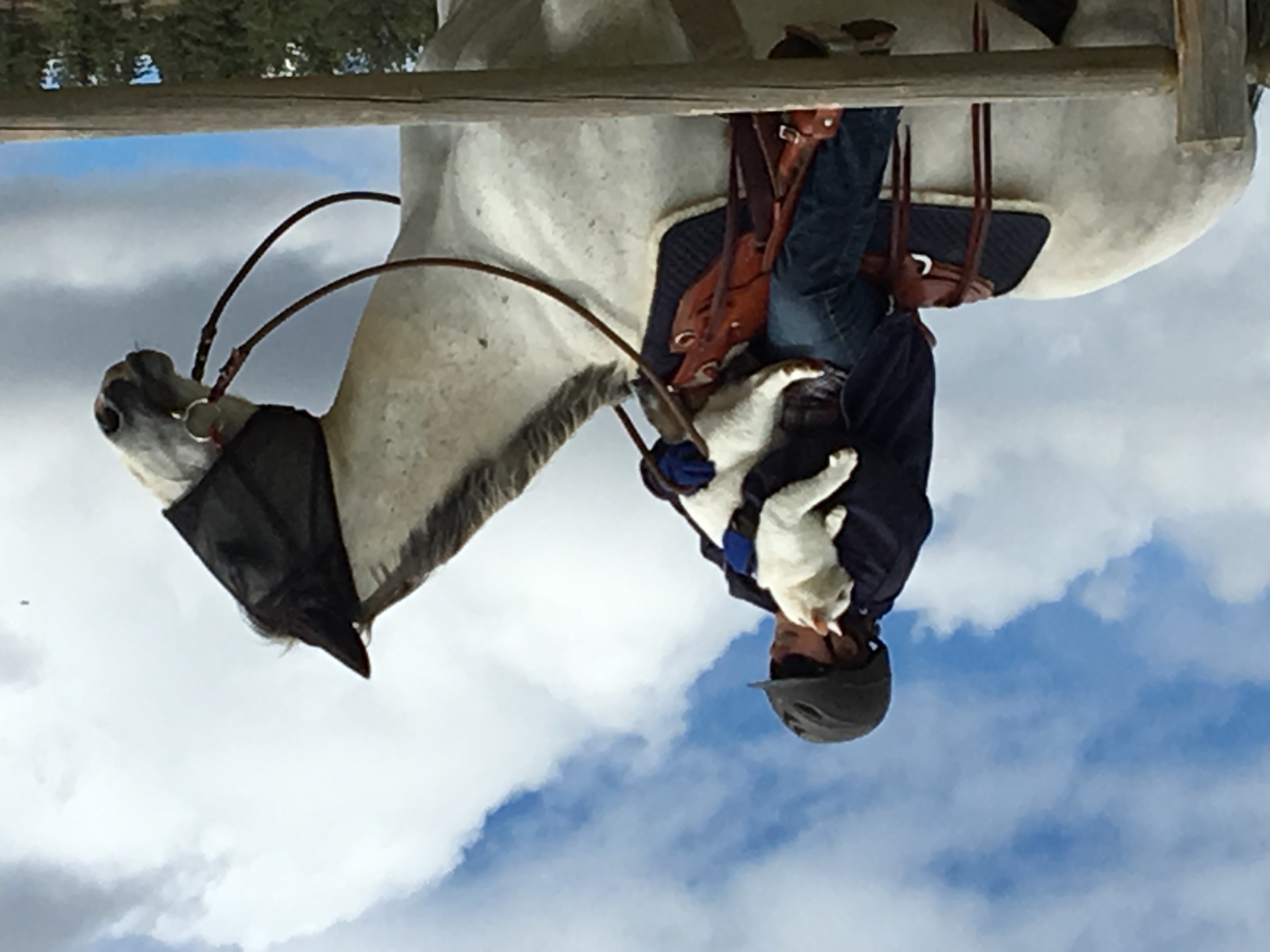 Facilities | juniper-hill-stable