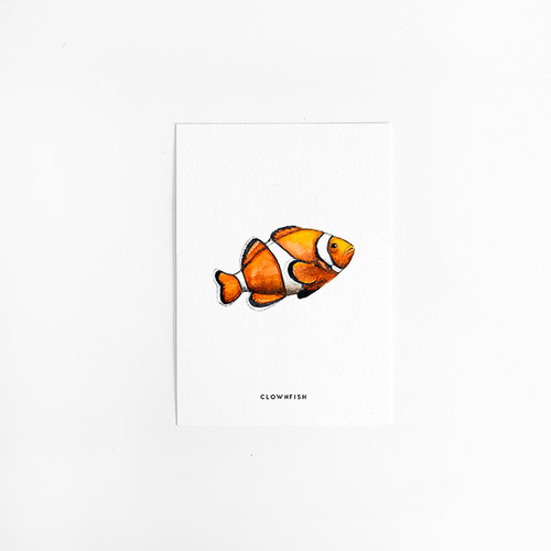 Kaart Clownvis | samfish