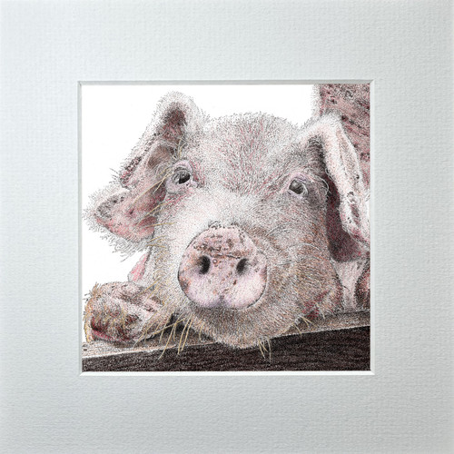 'Happy As A Pig In...' Details Collection Print Edition 2 | Markcockerart