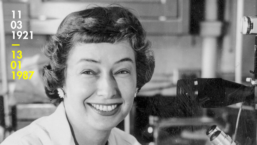 Charlotte Friend, viróloga estadounidense que descubrió el virus de la ...