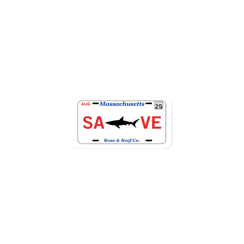 Massachusetts Shark License Plate Sticker | Rose & Reef