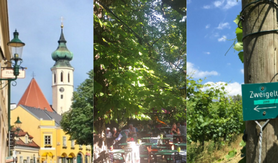 Grinzing - Heuriger - Vienna