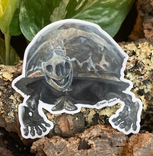 Geochelone atlas Tortoise Fossil Sticker | Side Street
