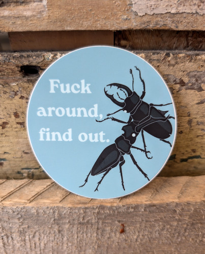 F*** Around, find out. Sticker | Side Street