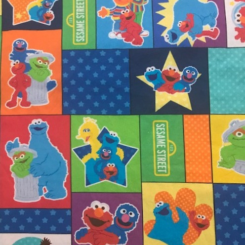 Sesame Street Blocks | mmsh