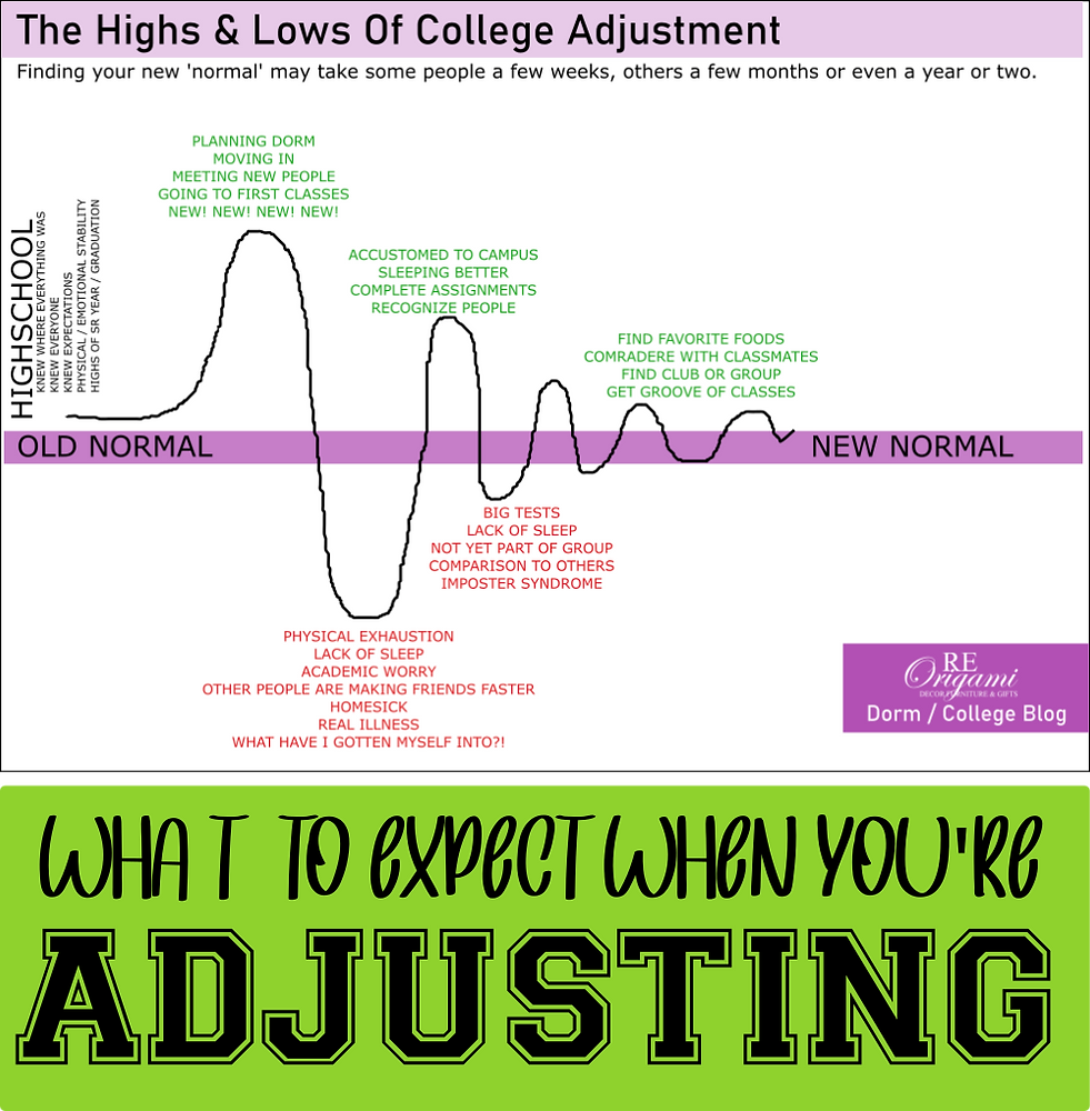 What to Expect When You're Adjusting
