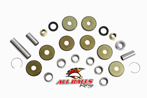 Suspension Linkage Bearings | Spectrum Moto