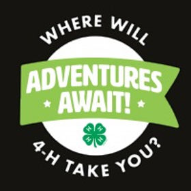 Getting Involved in Local 4-H