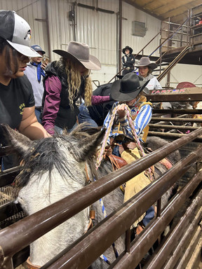 Learn'n & Spur'n Ranch Bronc Schools ...