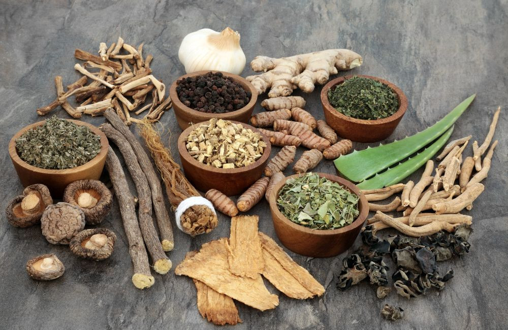 The Rise of Adaptogens, Nootropics, and Natural Ingredients in 2024