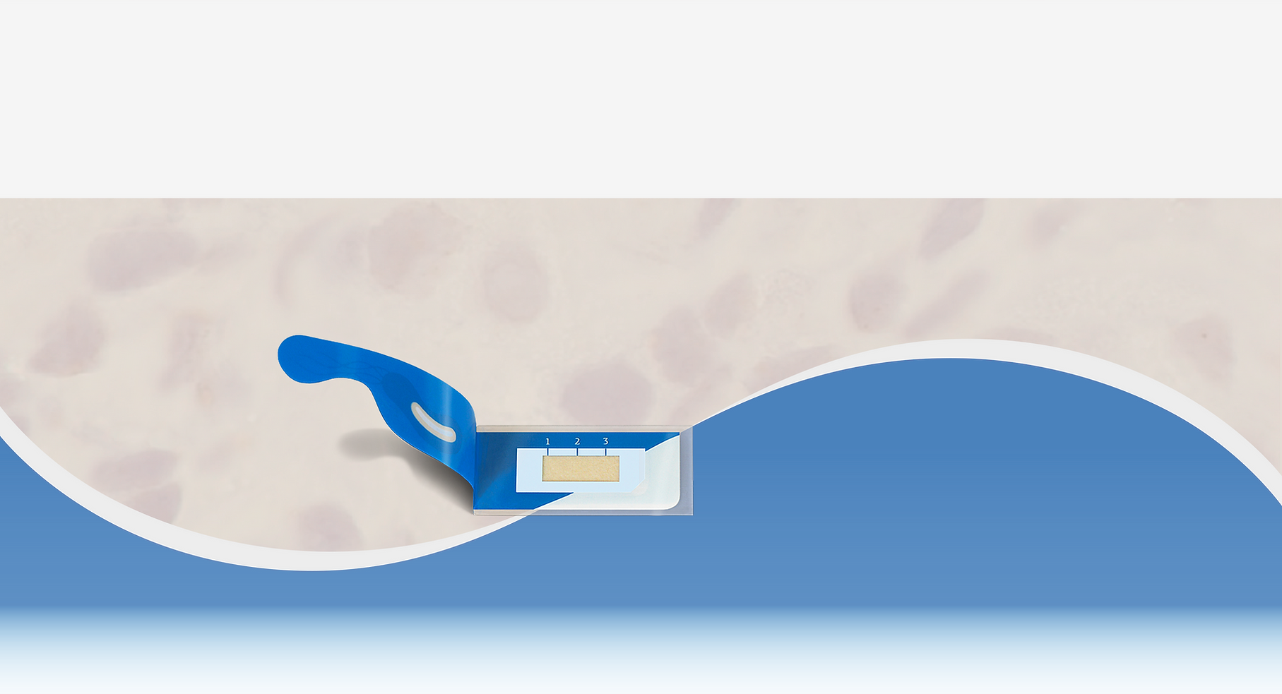 AMA RUT Expert | Rapid urease test with reader