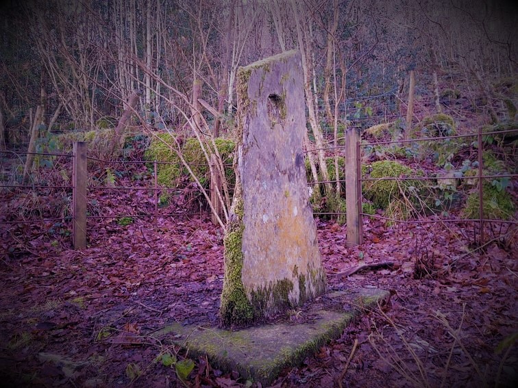 WHERE THE FOLK did the Flower-Faced Girl go? Part III