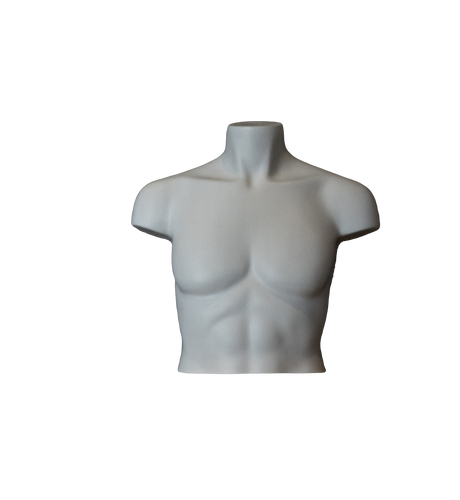 Buste homme - LA CLINIQUE DU MANNEQUIN | Shop Sudmannequin