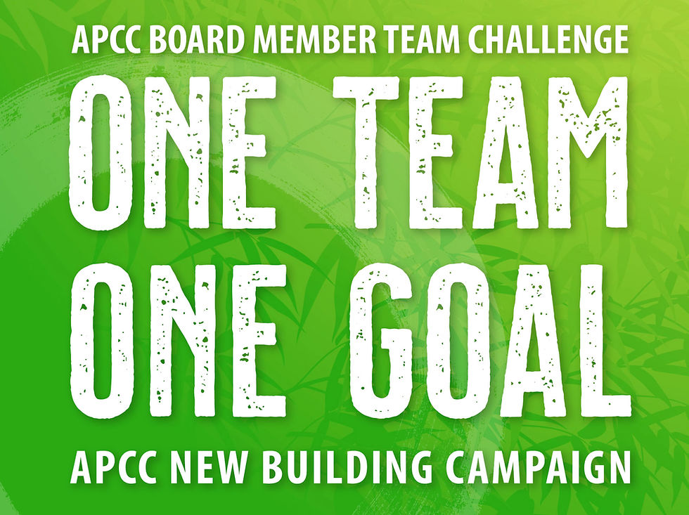 One Team, One Goal. APCC Board members fundraising page.