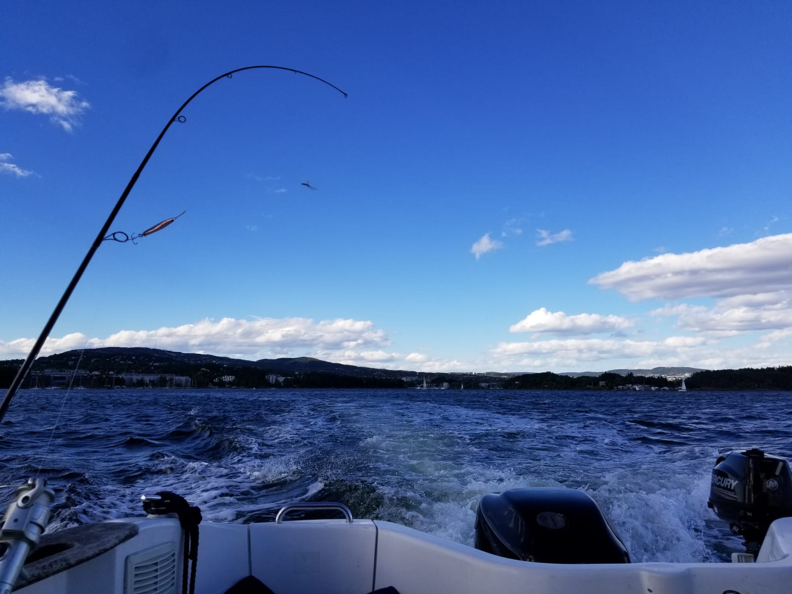 About OFBF | Fishing in Oslo | Oslo Fjord Boat Fishing | Norway