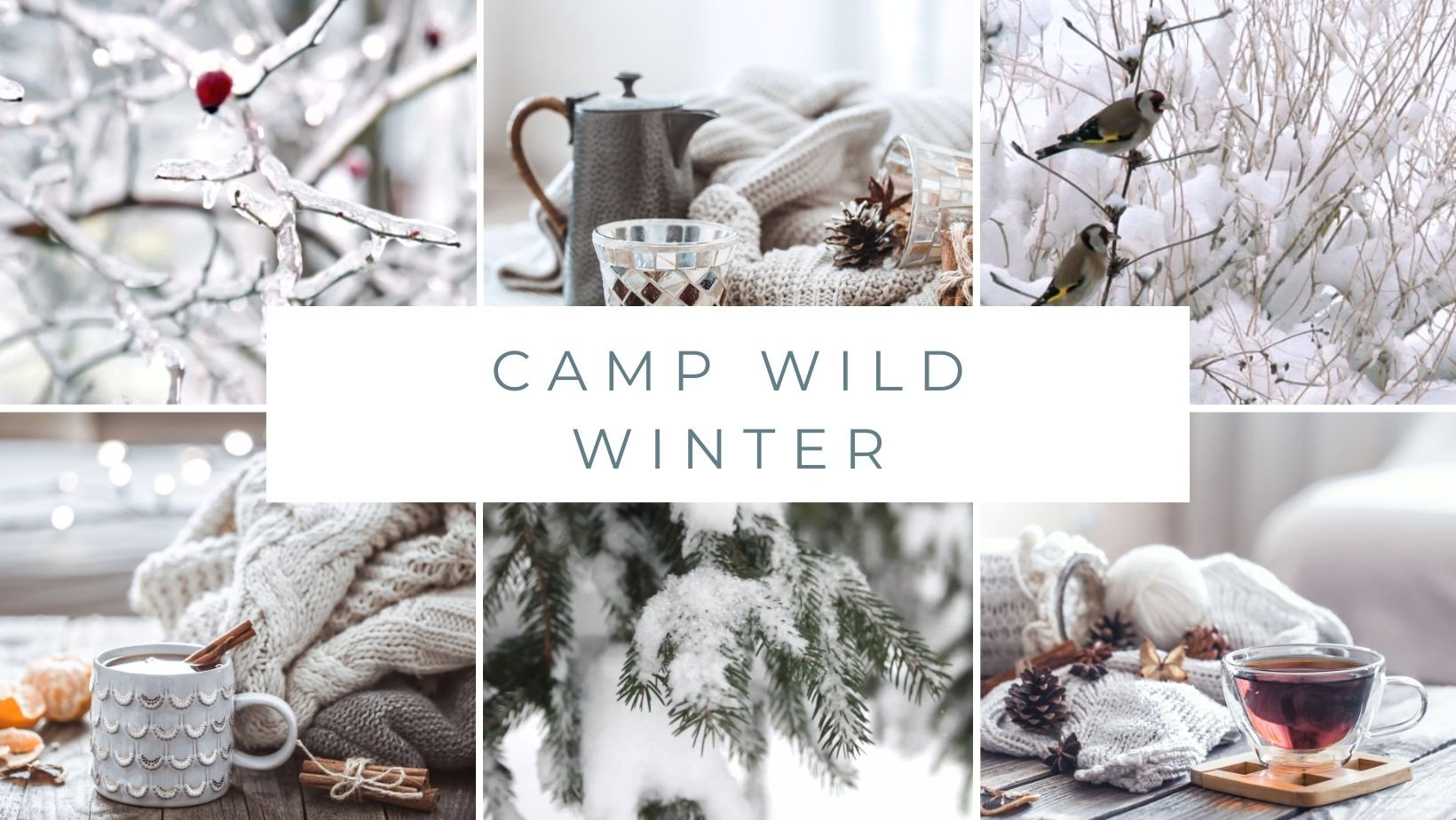 Camp WILD Winter