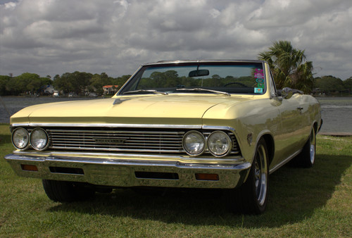 Tan Chevelle | Snapshot Memories