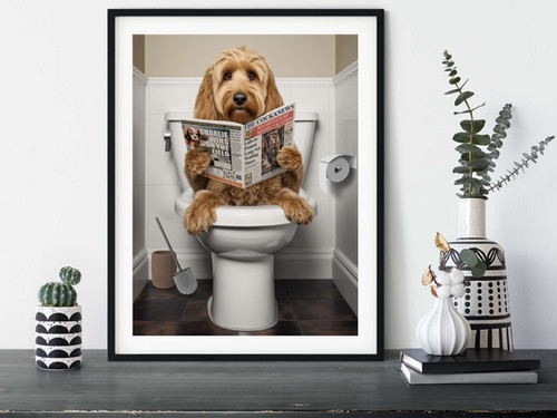Cockapoo on the Toilet | Dundee Photographer