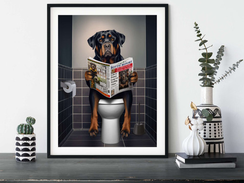 Rottweiler on the Toilet | Dundee Photographer