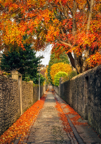 Strawberry Bank | Dundee Photographer