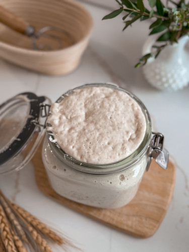 Irish White Rye Sourdough Starter | The Lazy Antelope