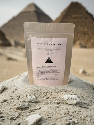 4500-year-old Kamut Egyptian Sourdough Starter | The Lazy Antelope