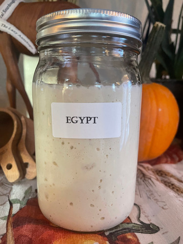 4500-Year-Old Egyptian Sourdough Starter | The Lazy Antelope