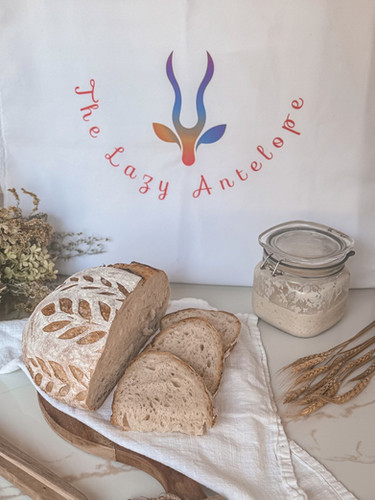 EST. 1870 PARISIAN FRANCE Sourdough Starter culture | The Lazy Antelope