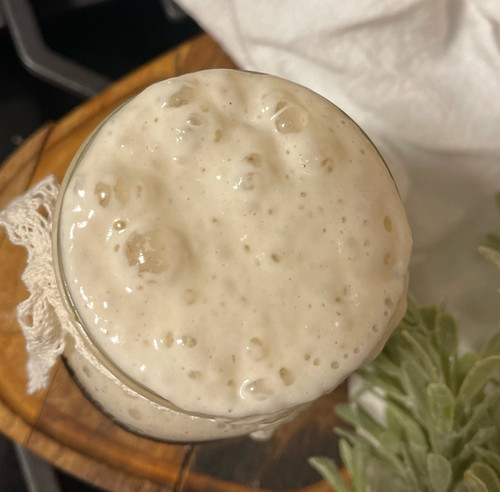 1000 Year old Wales Sourdough Starter | The Lazy Antelope