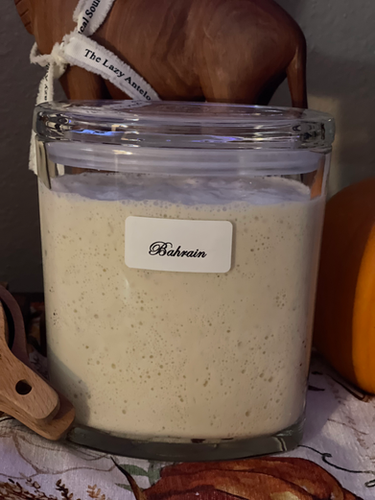 Garden of Eden Bahrain Sourdough Starter | The Lazy Antelope