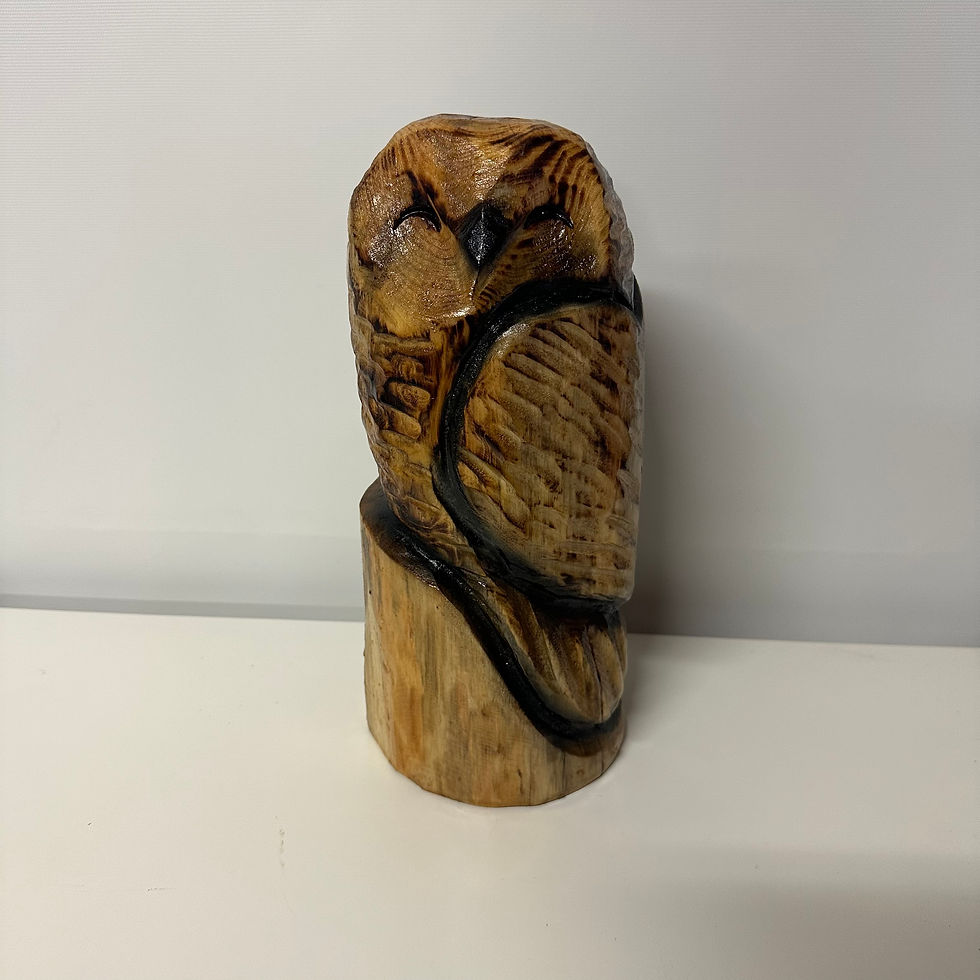 Chainsaw Carvings | Creativity and Wellness | Kyra Waits